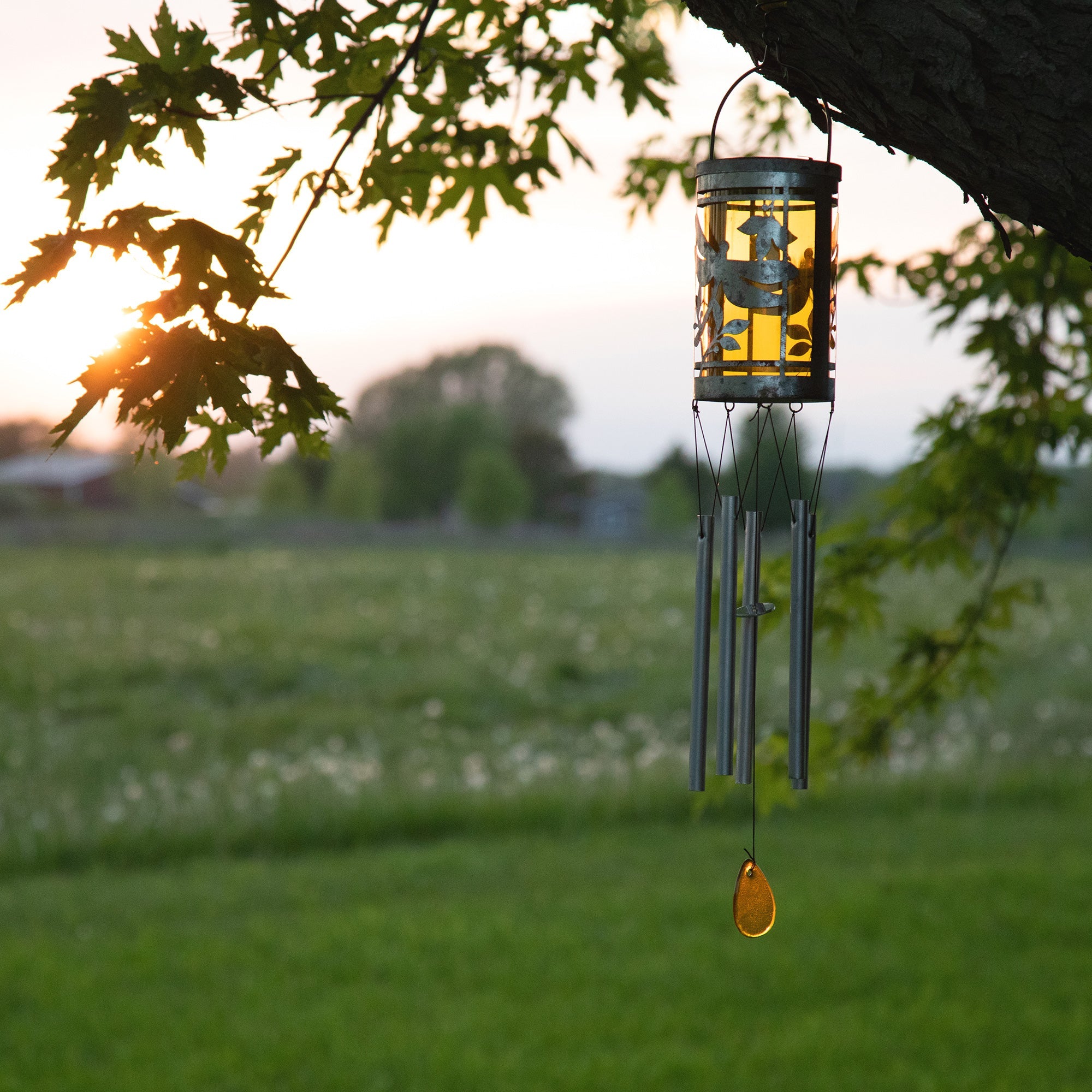 Solar Dragonfly Wind Chime – B World Mart